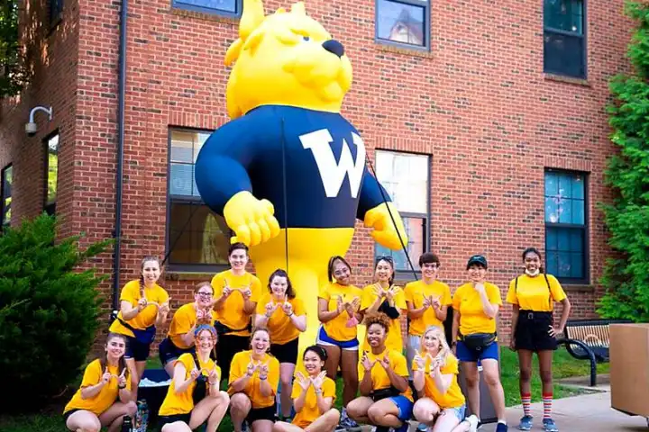 Webster University