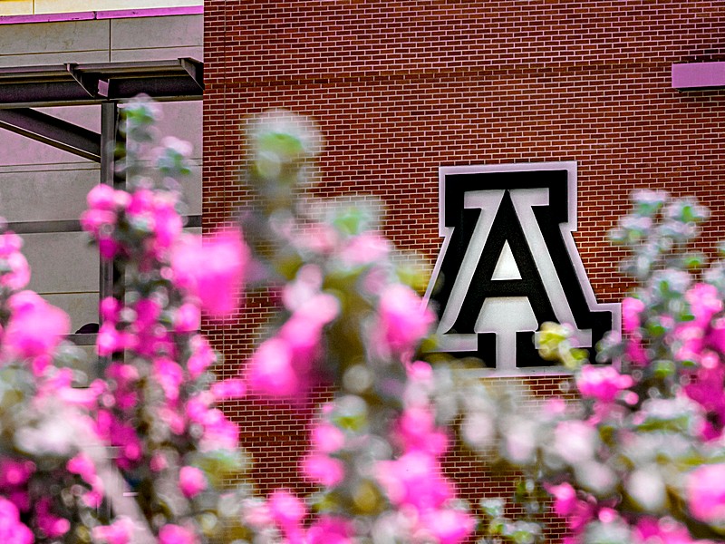 Bachelor of Science - Architectural Engineering